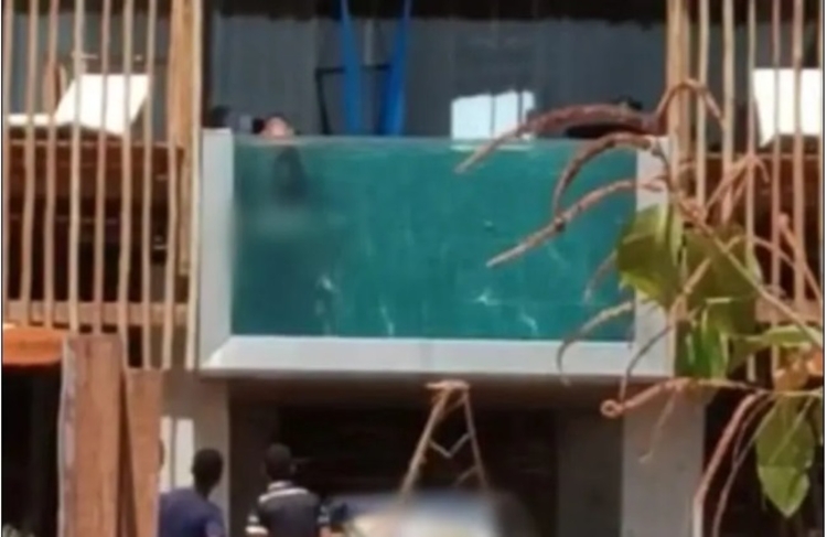 Casal é flagrado fazendo sexo em piscina com vista à praia